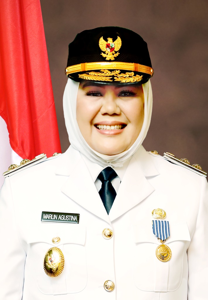 Profil Wakil Gubernur Provinsi Kepulauan Riau - PPID Pemprov Kepri